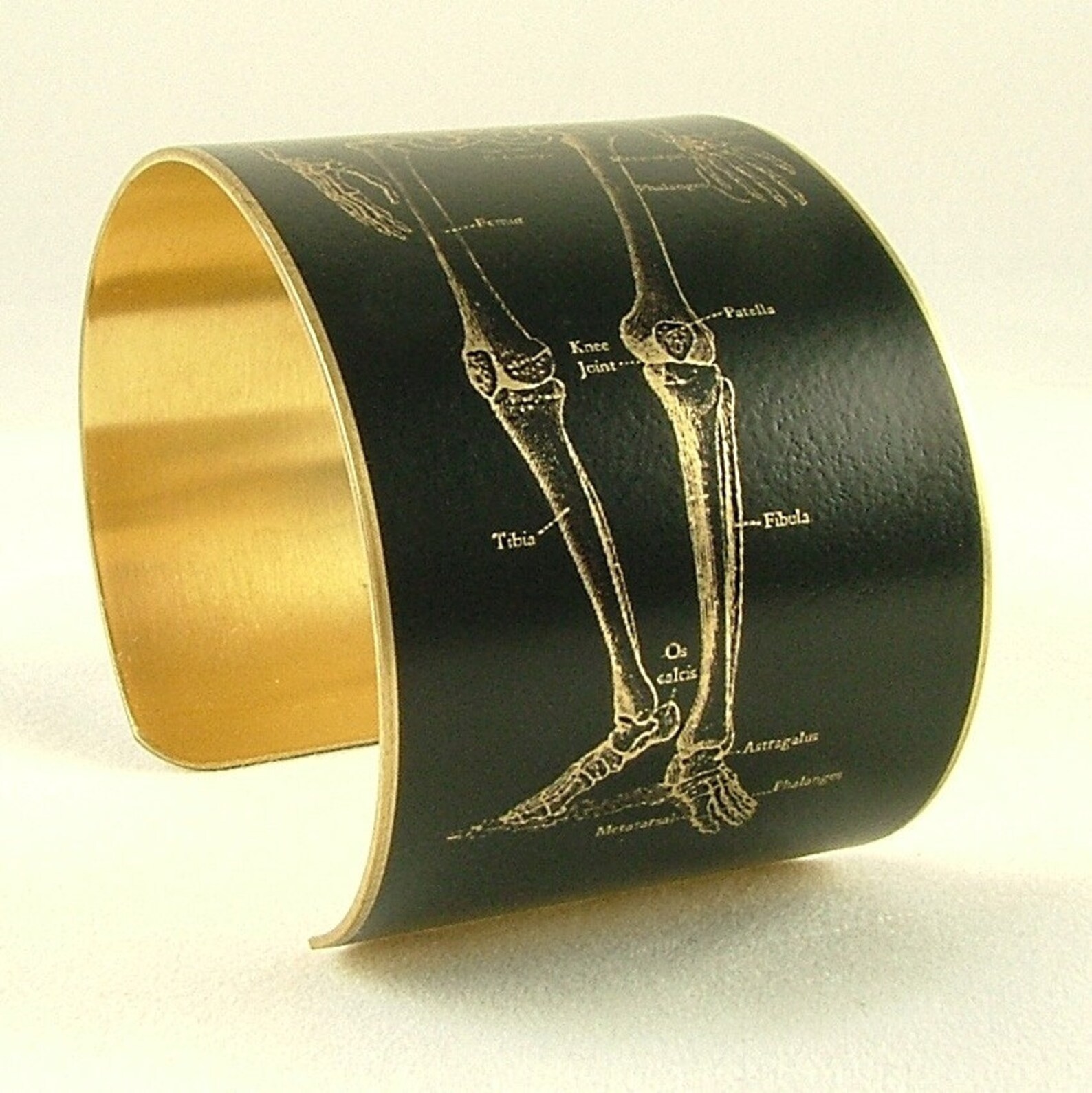 Anatomical Skeleton Bracelet - Anatomy Medical Illustration Cuff ...
