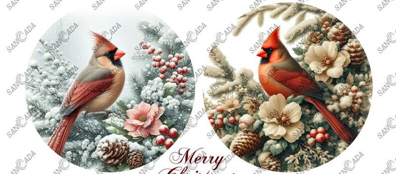 Beautiful Cardinal Birds Digital Download for Decoupage - A4 Size ...