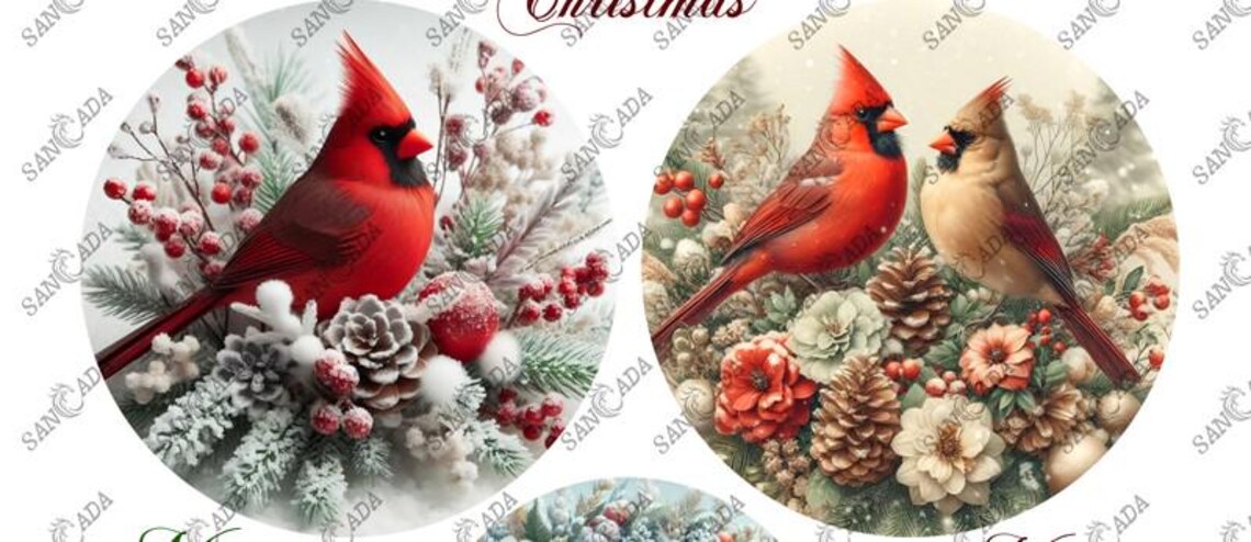 Beautiful Cardinal Birds Digital Download for Decoupage - A4 Size ...