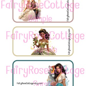 Princess Savings Book DASHBOARDS, A6 Dashboards, Cash Saving Envelope ...