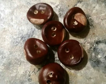 Ohio Buckeye Necklace All Real OHIO Buckeyes - Etsy