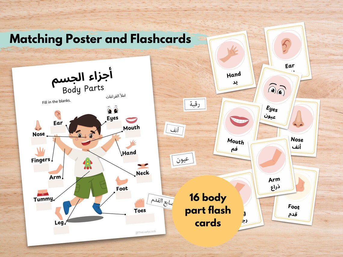 English-arabic Body Parts Worksheet | Digital Download for Kids ...