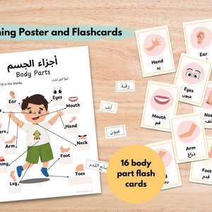 English-arabic Body Parts Worksheet | Digital Download for Kids ...