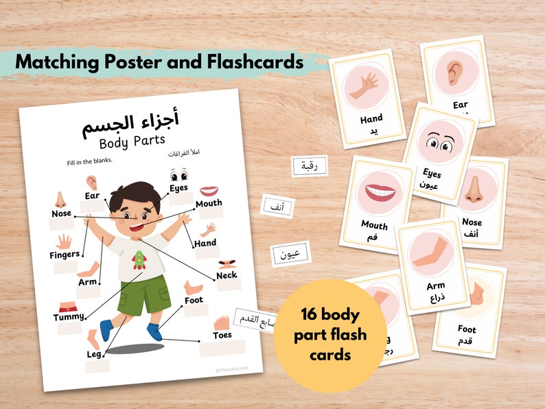 English-arabic Body Parts Worksheet | Digital Download for Kids ...