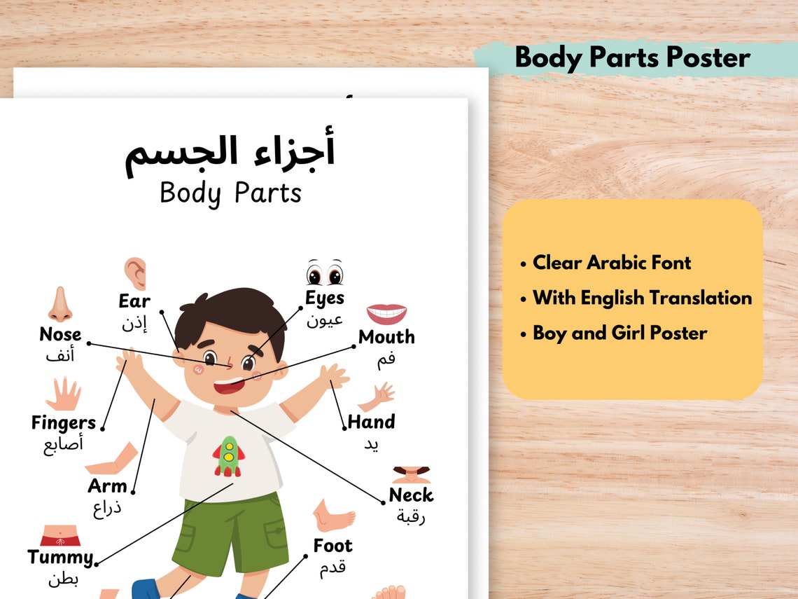 English-arabic Body Parts Worksheet | Digital Download for Kids ...
