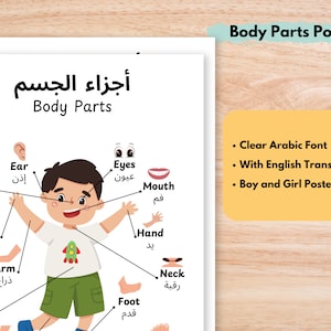 English-arabic Body Parts Worksheet | Digital Download for Kids ...