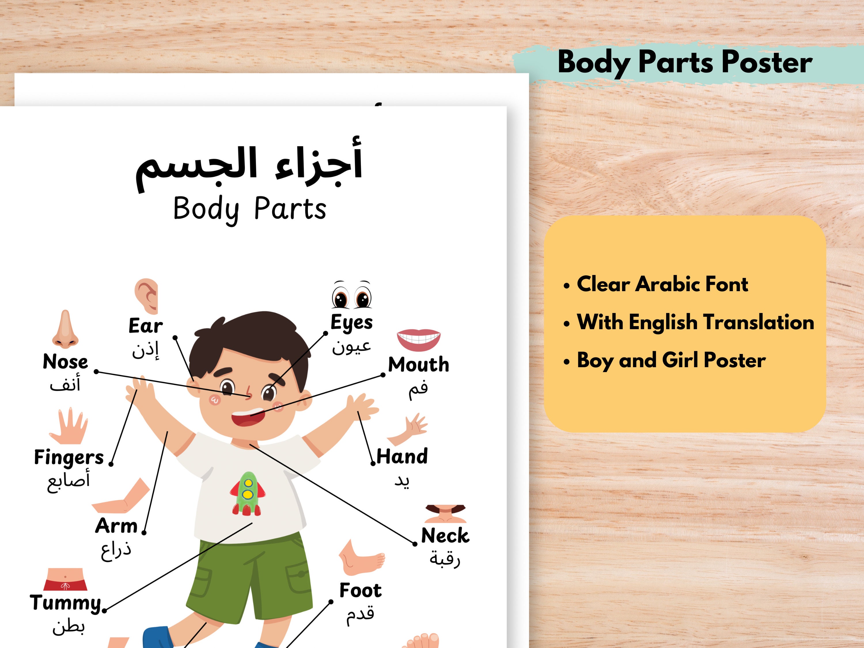 English-arabic Body Parts Worksheet | Digital Download for Kids ...