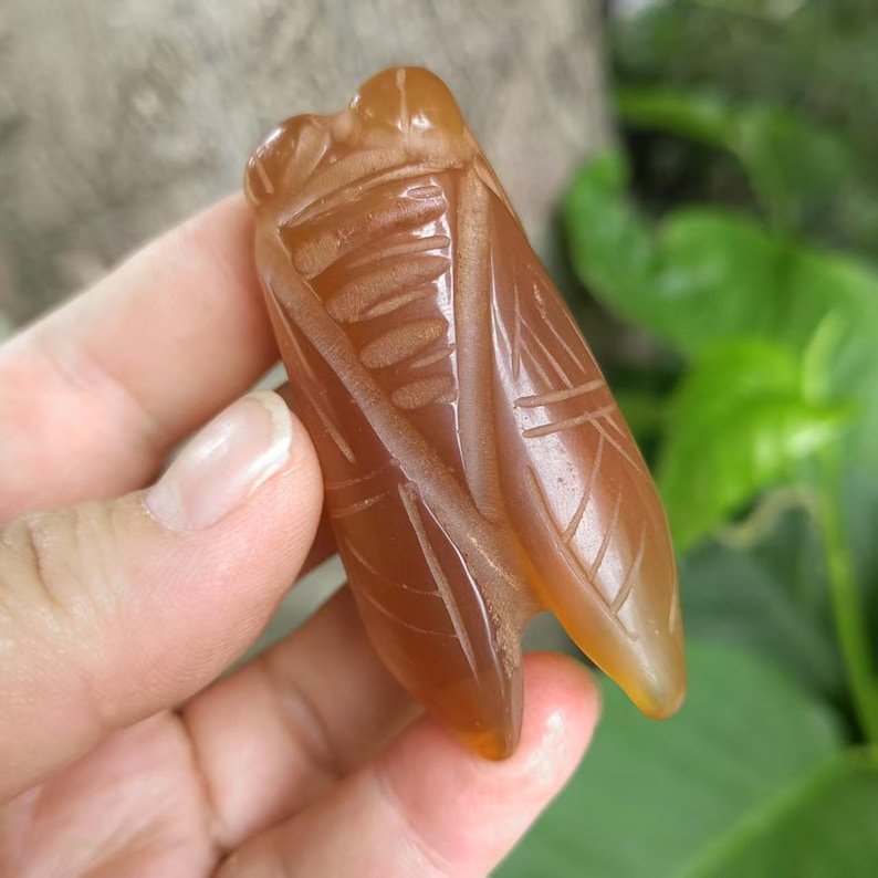 Natural Agate Cicada Pendant Jade Insect Necklace Unisex Carved Amulet ...