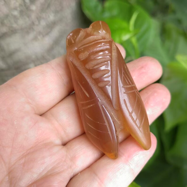 Natural Agate Cicada Pendant Jade Insect Necklace Unisex Carved Amulet ...