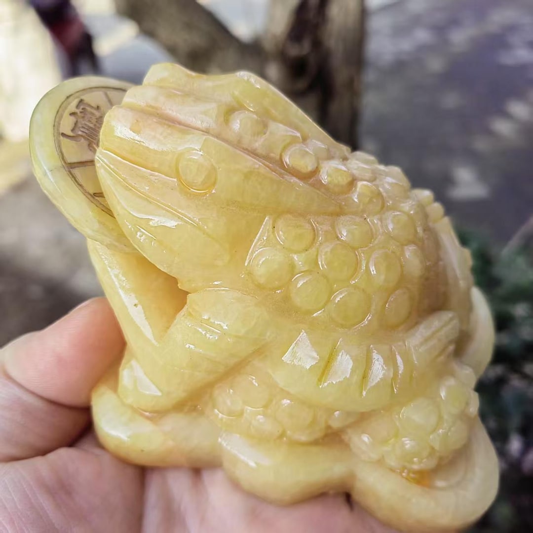Natural Yellow Jade Money Frog Chan Chu Prosperity Toad Gift PL053 - Etsy