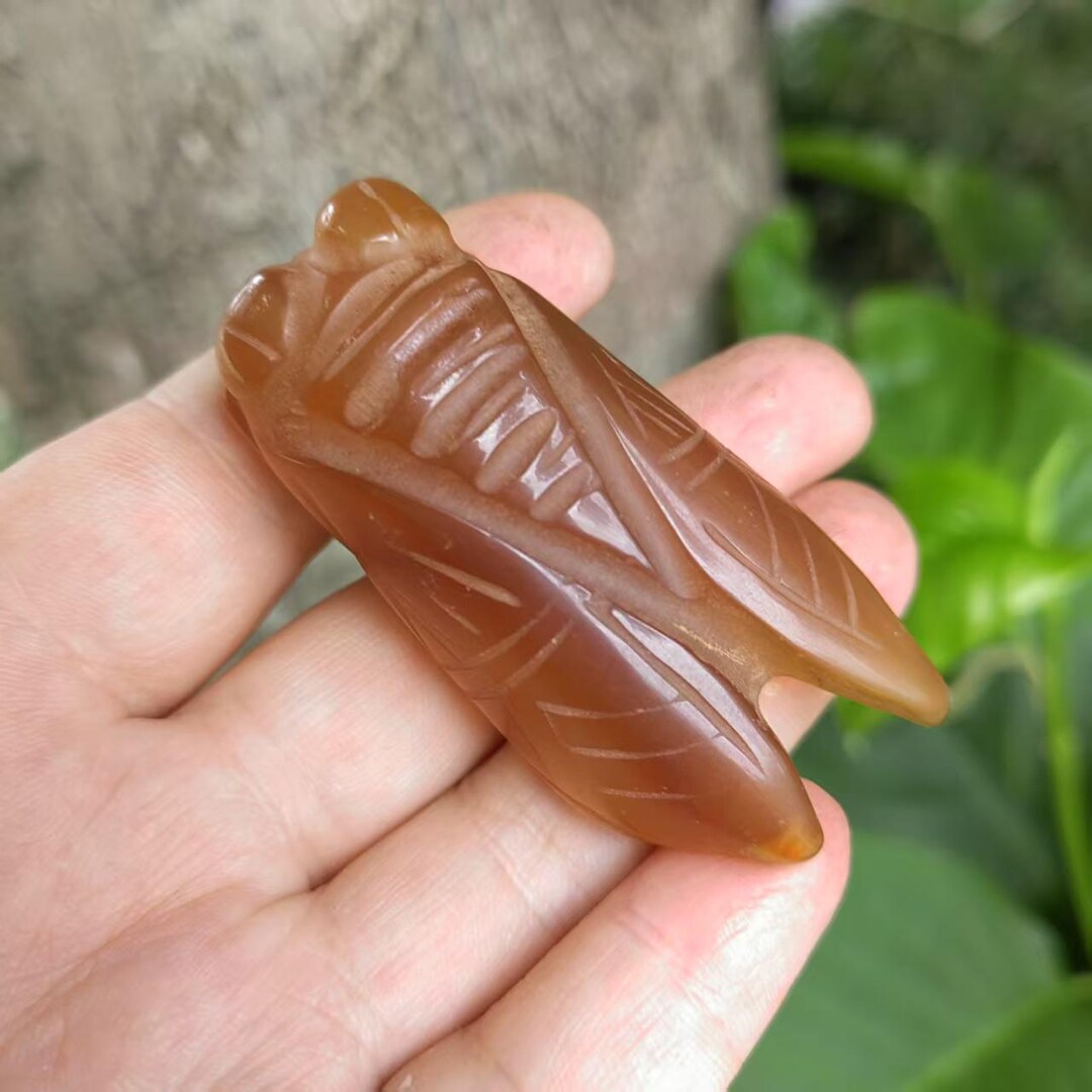 Natural Agate Cicada Pendant Jade Insect Necklace Unisex Carved Amulet ...