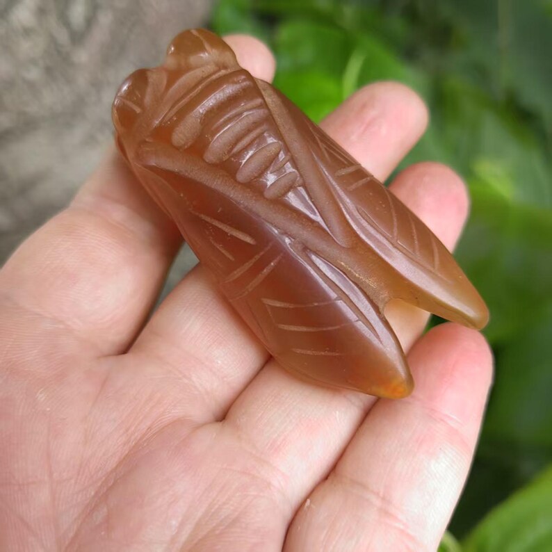 Natural Agate Cicada Pendant Jade Insect Necklace Unisex Carved Amulet ...