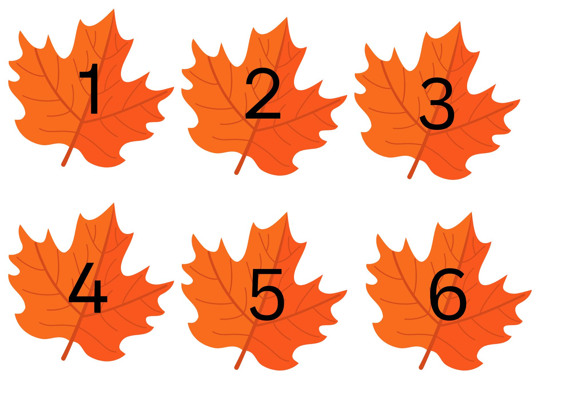 Autumn Numbers Counting Classroom Display School Resource Learning ...