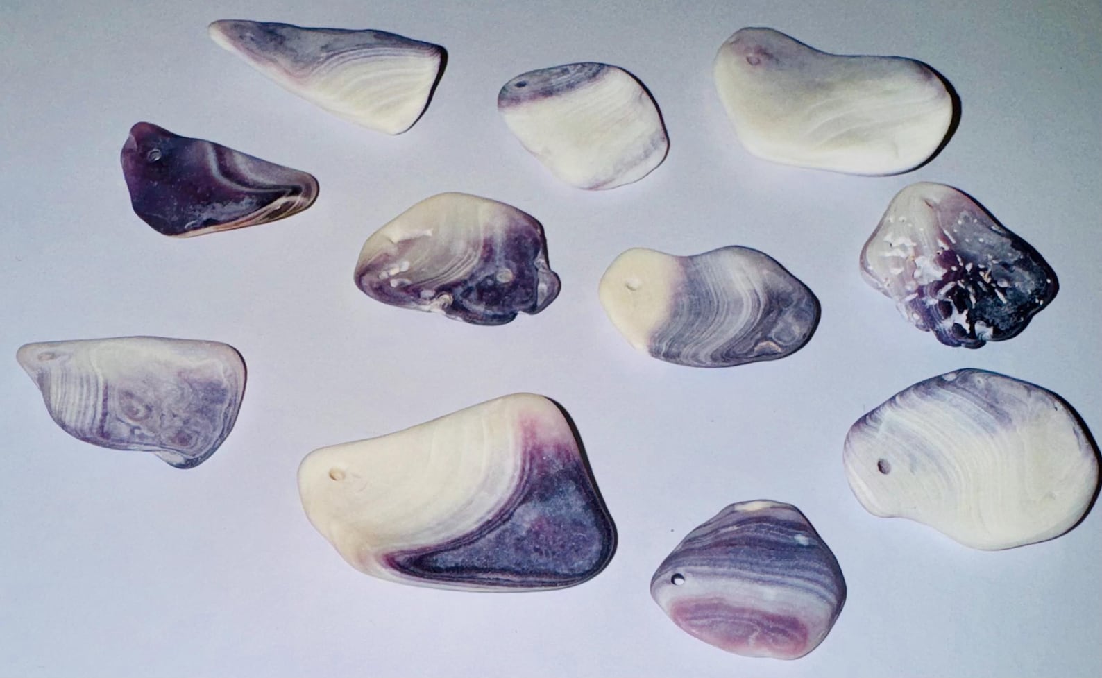 Top Drilled Wampum Shells: Purple Quahog Shell Beads for Jewelry - Etsy