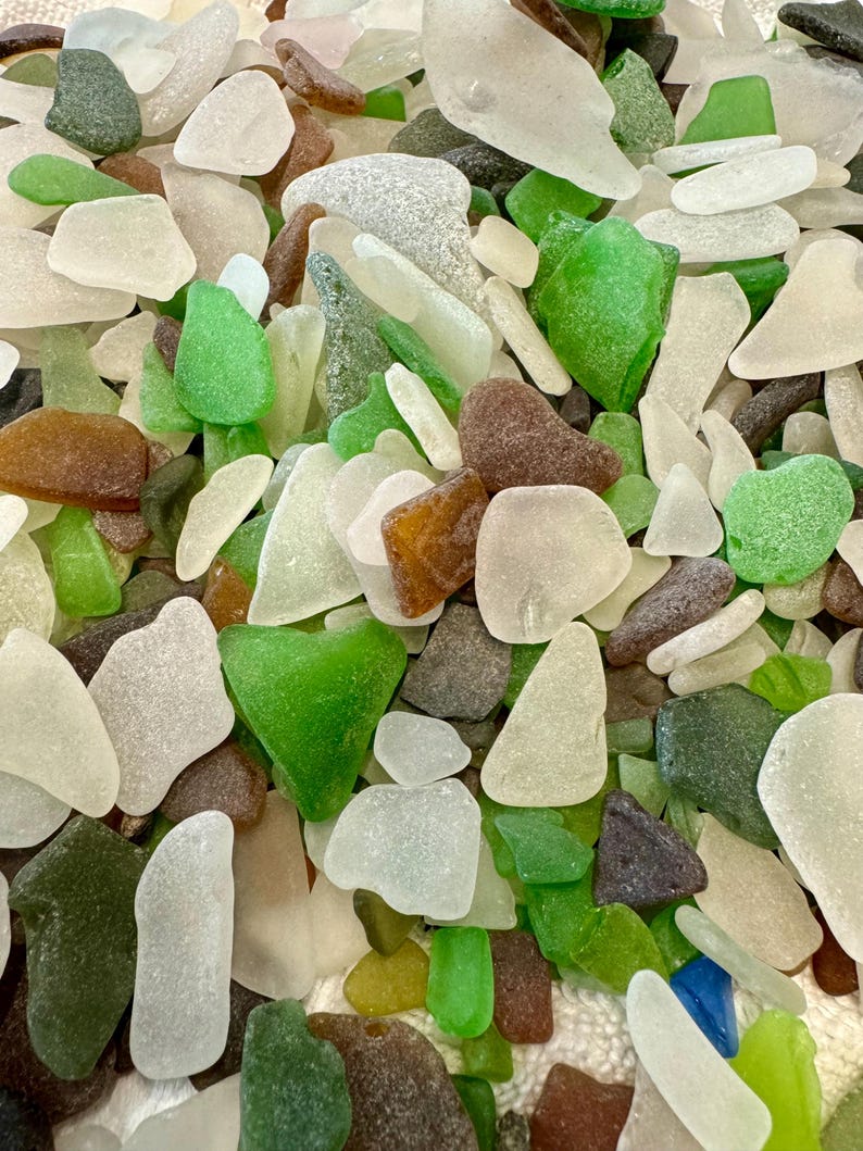 Handpicked Sea Glass Collection: Pottery, Shells, Driftwood - 25+ Lbs ...