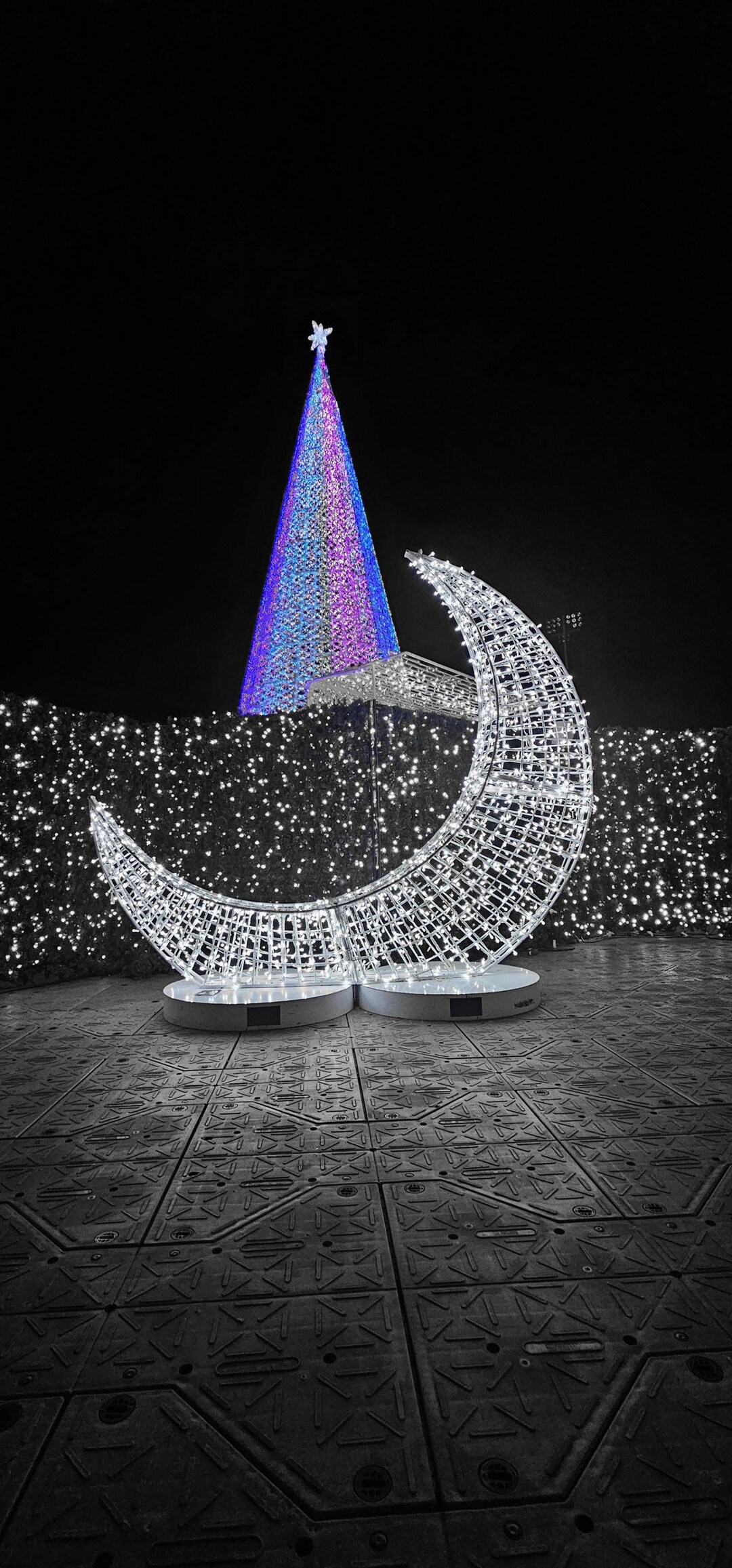 Christmas Light Display - Etsy