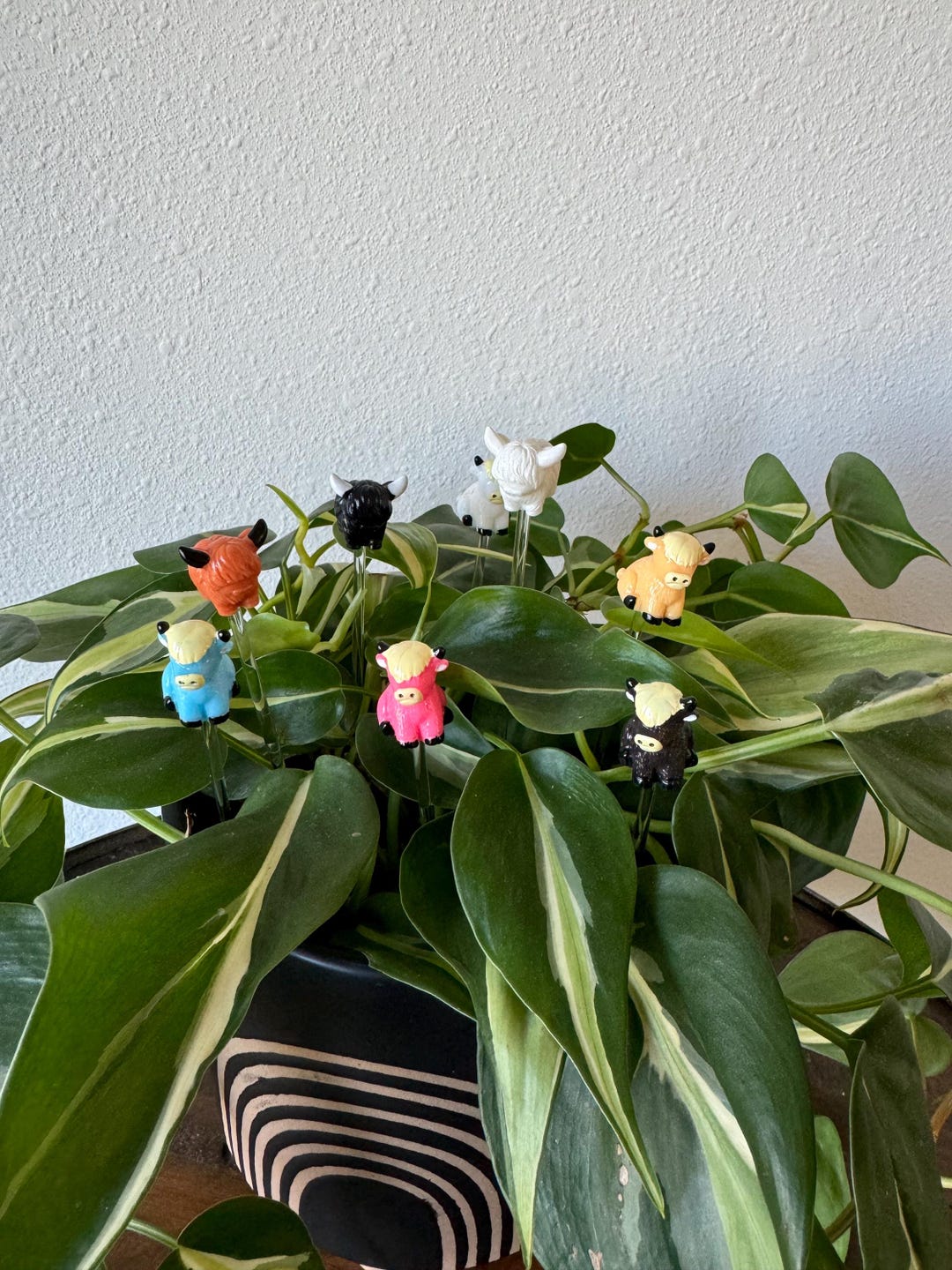 Plant Buddy - Highland Cow - Plant Stake 6" Plant Decoration - Etsy