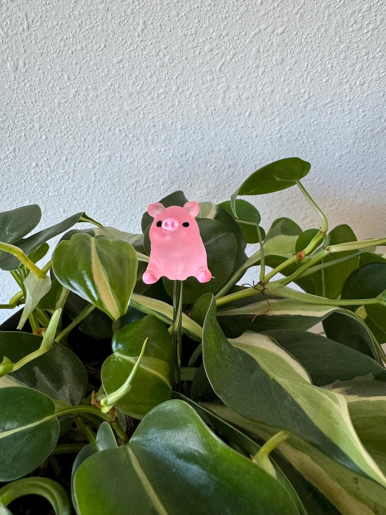 Plant Buddy Posing Pigs - Plant Stake 6" Plant Decoration - Etsy