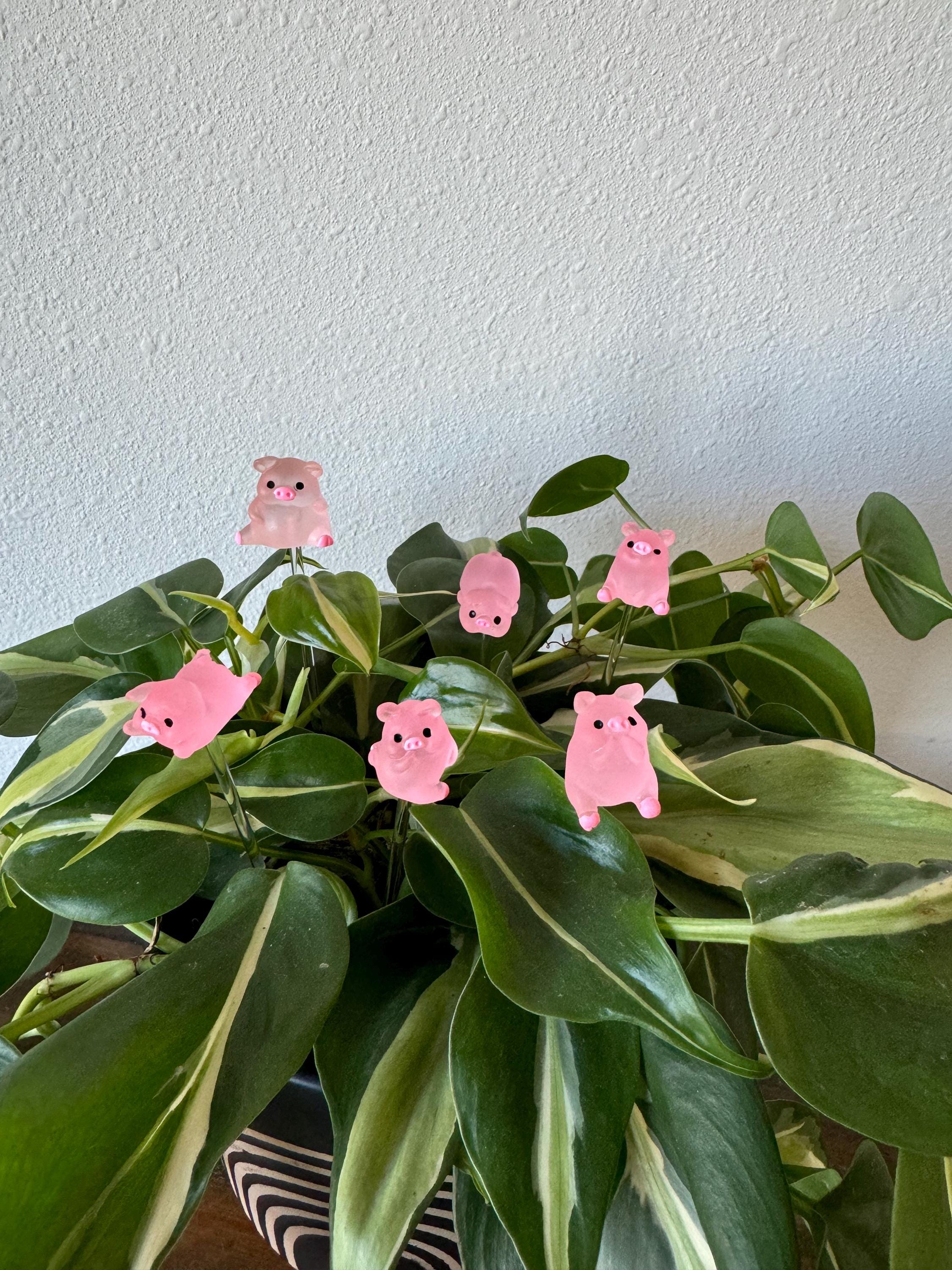 Plant Buddy Posing Pigs - Plant Stake 6" Plant Decoration - Etsy
