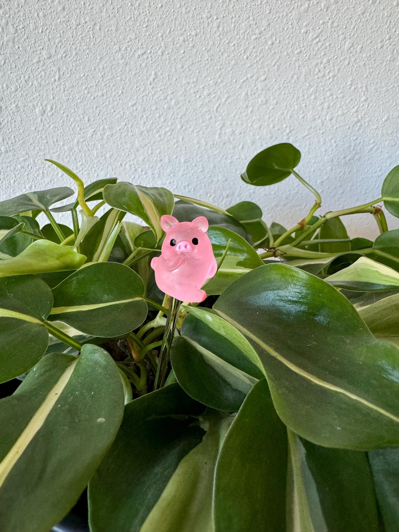 Plant Buddy Posing Pigs - Plant Stake 6" Plant Decoration - Etsy