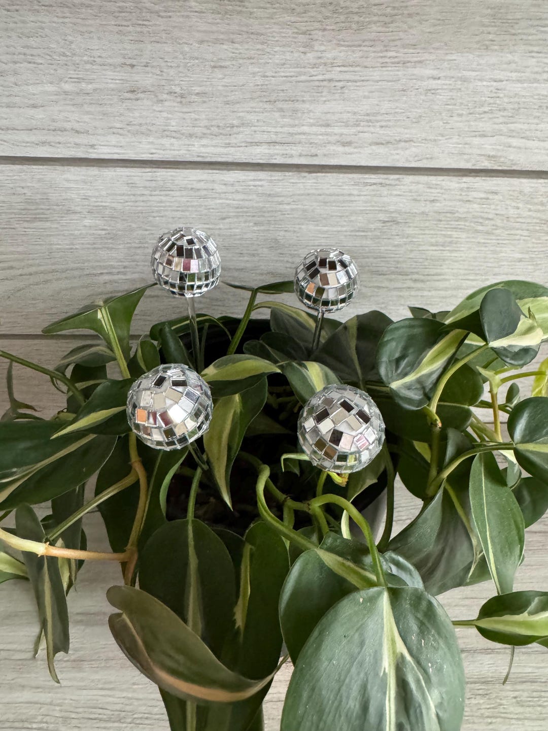 Plant Buddy -4 Pack Disco Ball - Plant Stake 6" Plant Decoration - Etsy