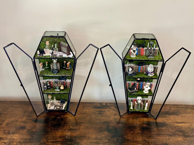 Evil Scientists Lab AND Spooky Library Inside Glass Coffin Cabinet - Etsy