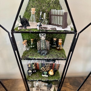 Evil Scientists Lab AND Spooky Library Inside Glass Coffin Cabinet - Etsy