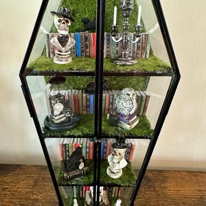 Evil Scientists Lab AND Spooky Library Inside Glass Coffin Cabinet - Etsy