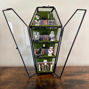 Evil Scientists Lab AND Spooky Library Inside Glass Coffin Cabinet - Etsy