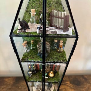 Evil Scientists Lab AND Spooky Library Inside Glass Coffin Cabinet - Etsy