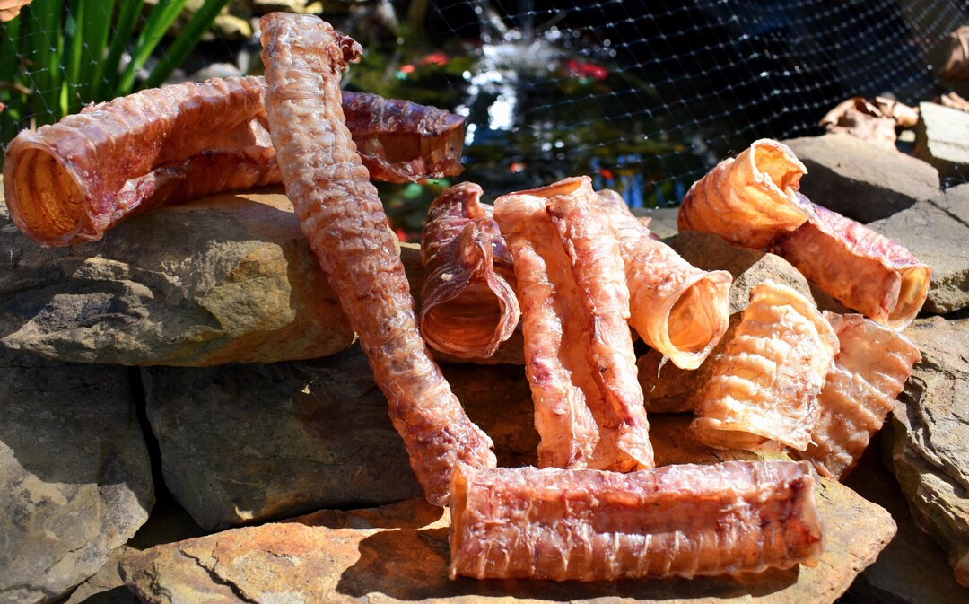 Moo Pipe(cow Trachea) - Dog Chew - Etsy