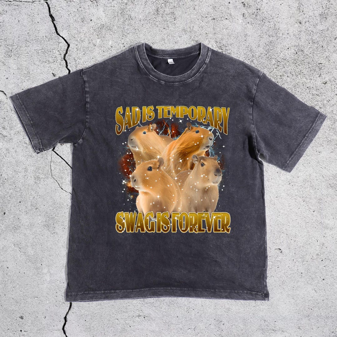 Sad is Temporary Swag is Forever Funny Capybara T-shirt,meme Possum ...