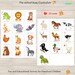 Printable Animal Tracks Matching Activity | Fun Montessori Nature Game ...