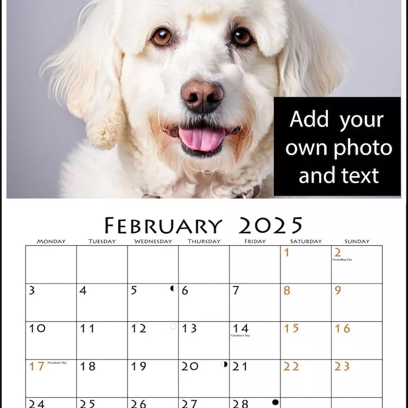 2025 Dogs Calendar - Etsy