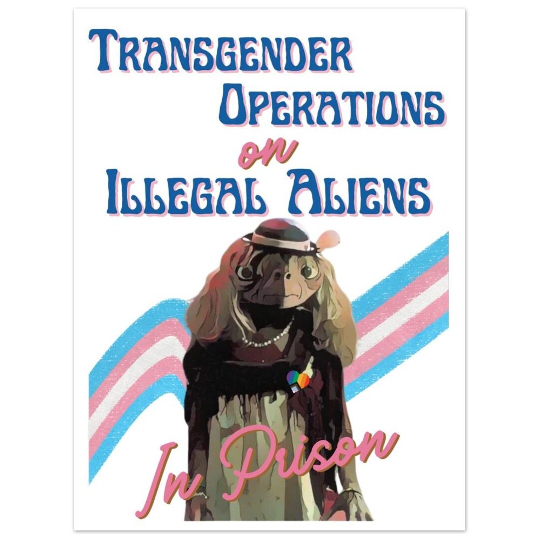 Transgender Aliens Poster Prints - Etsy