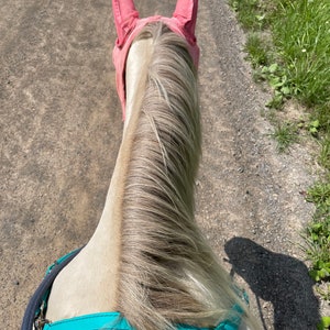 PaintedFlanks - Etsy