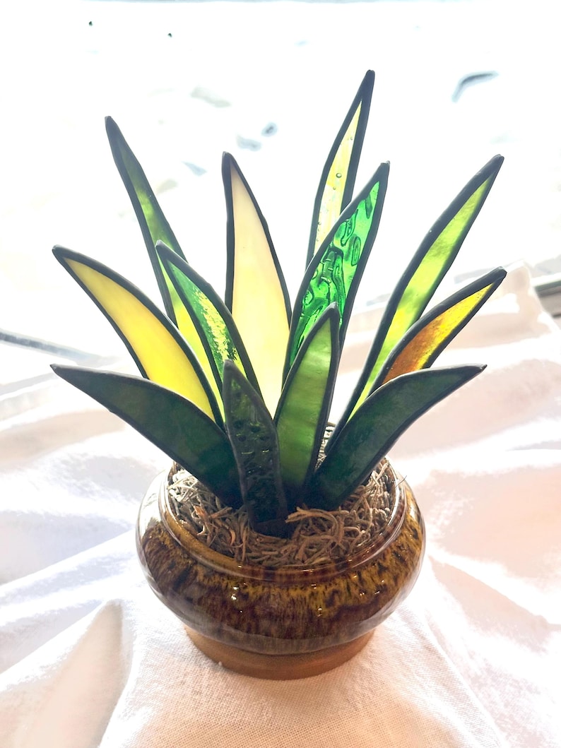 LIMITED EDITION -stained Glass Snake Forever Plants - Etsy Canada