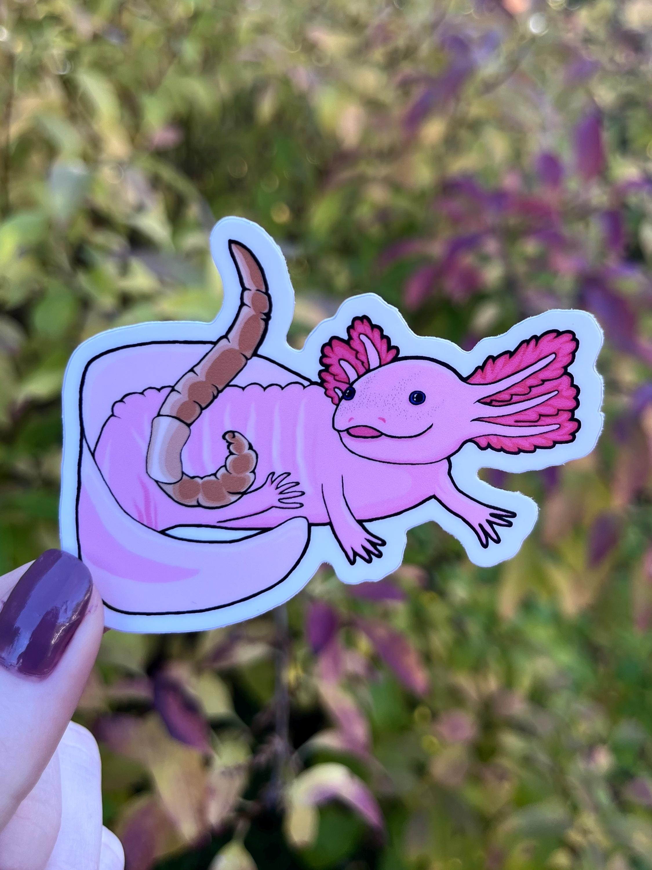 Axolotl Worm Sticker, 3", Water Bottle Sticker, Laptop Decal, Cute ...