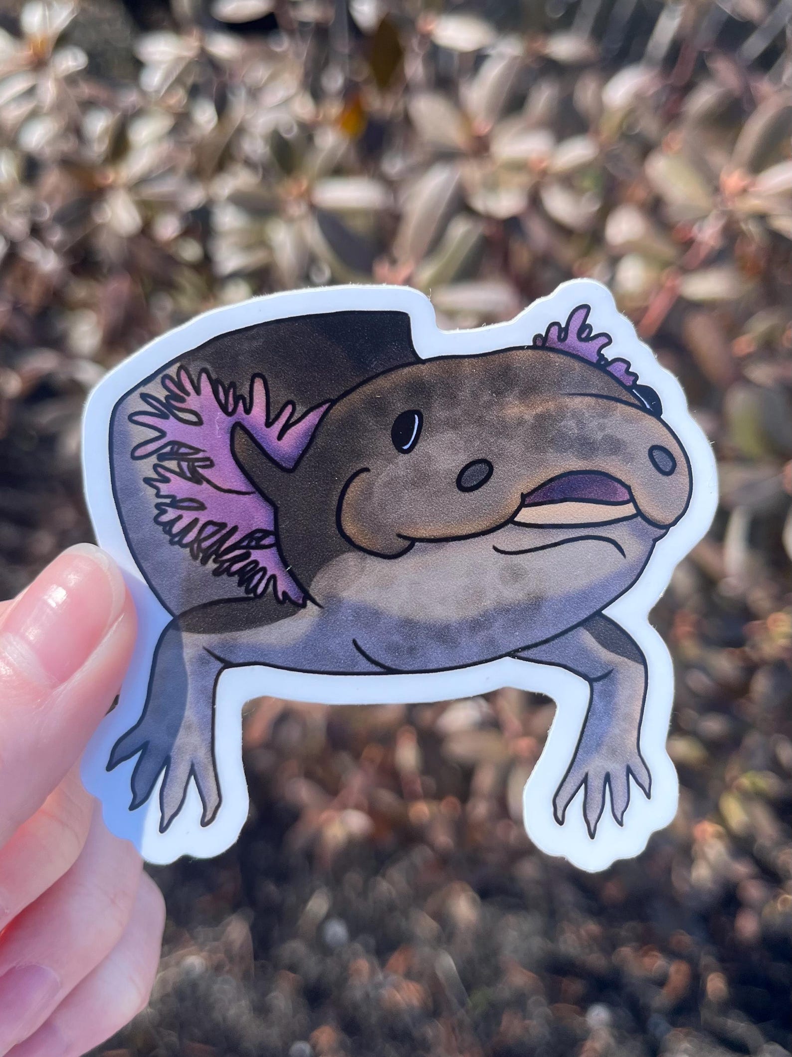 Siren Salamander Sticker, 3", Water Bottle Sticker, Laptop Decal ...