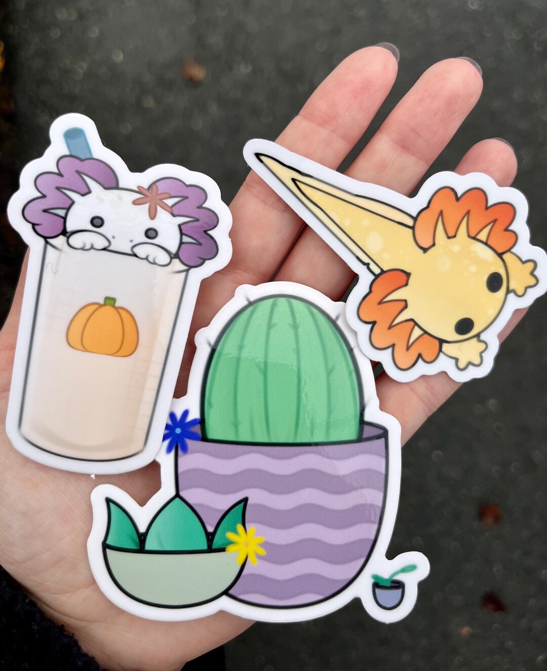 Salamander Sticker Set, 3", Water Bottle Laptop Decal, Cute Animal ...