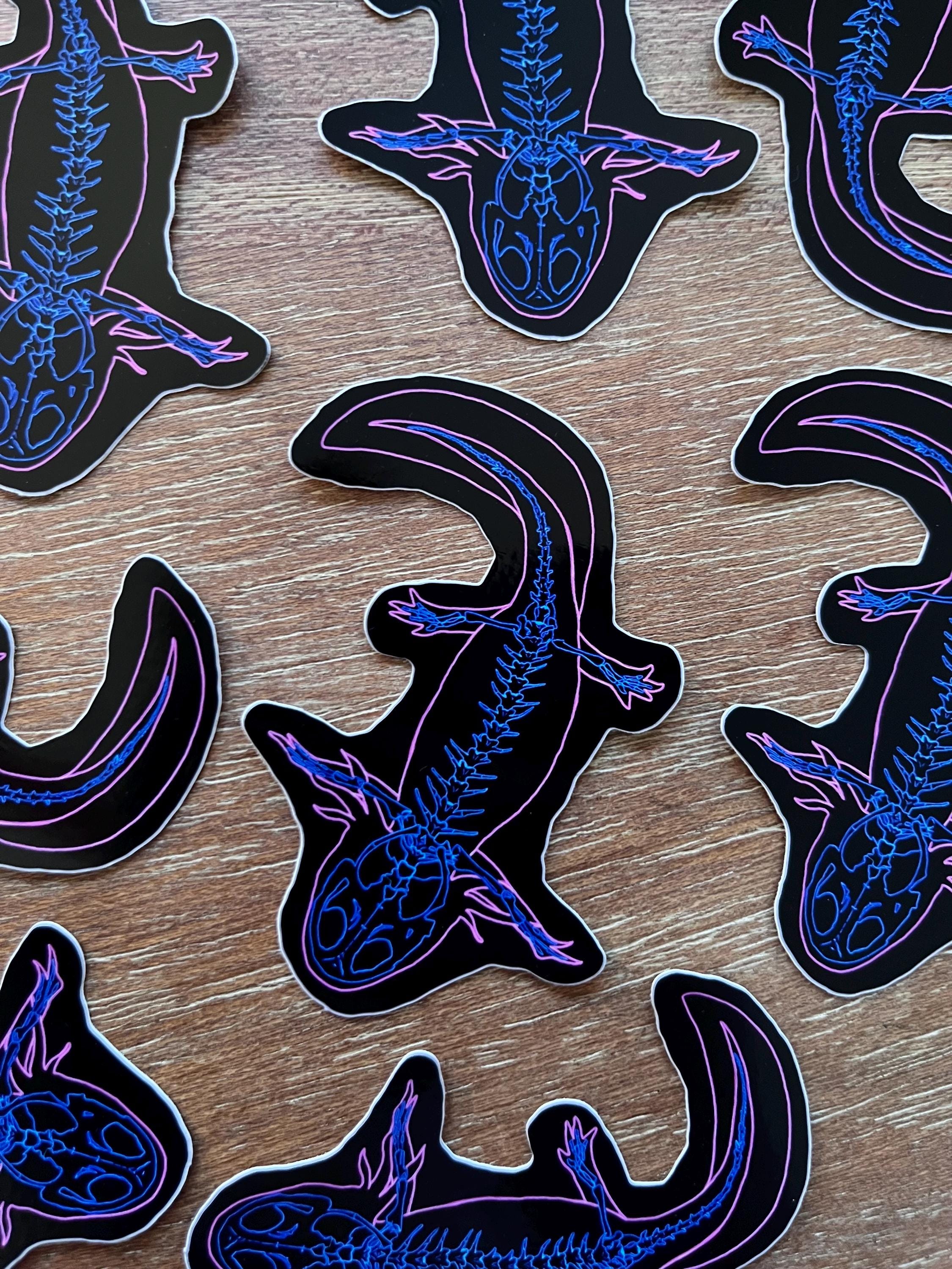 Axolotl X-ray Skeleton Sticker, 3", Water Bottle Sticker, Laptop Decal ...