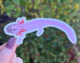 Axolotl X-ray Skeleton Sticker, 3", Water Bottle Sticker, Laptop Decal ...