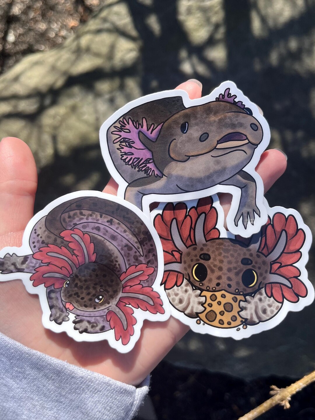March Salamanders Sticker Set, 3", Water Bottle Stickers, Laptop Decals ...