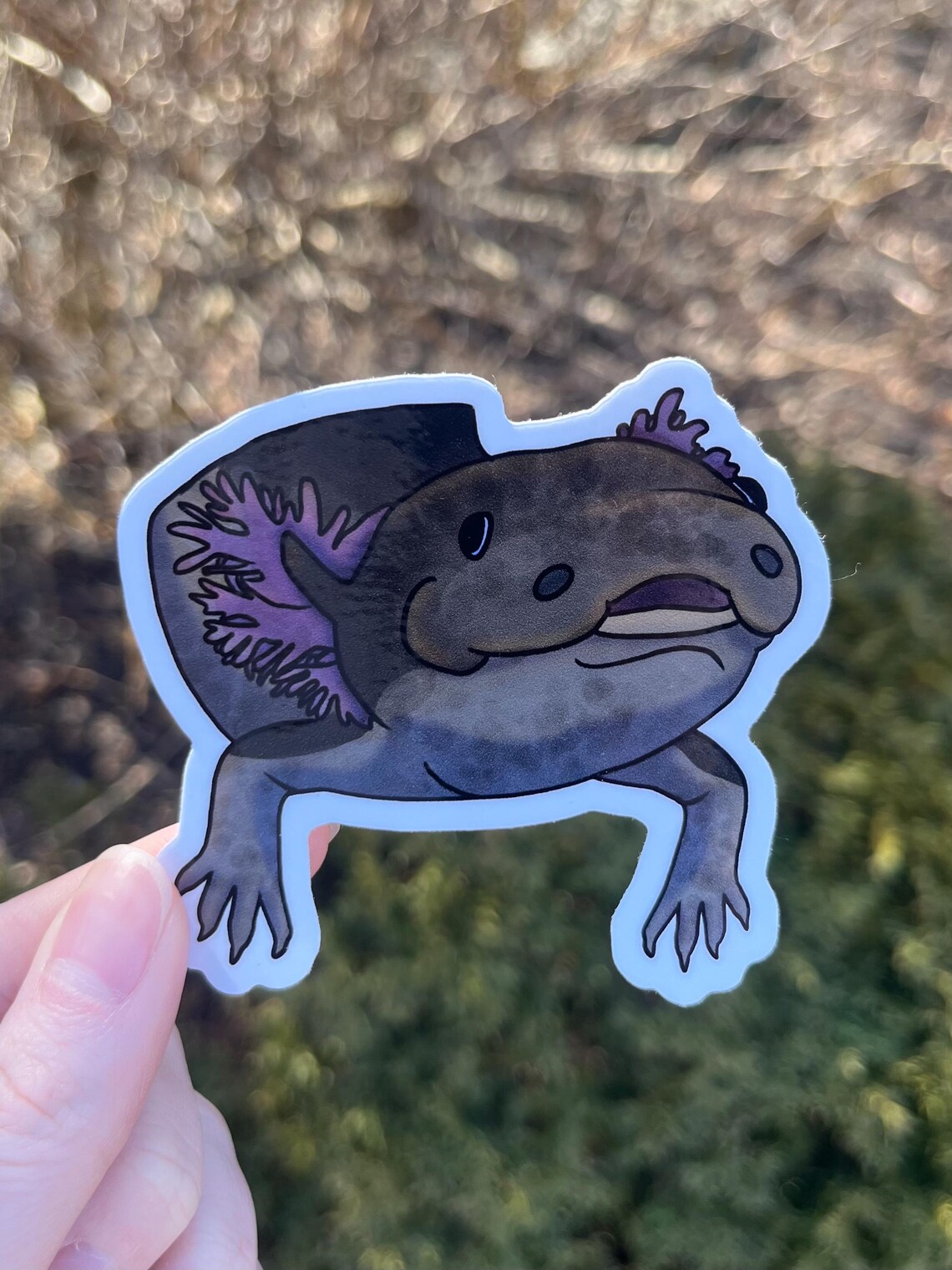 Siren Salamander Sticker, 3", Water Bottle Sticker, Laptop Decal ...