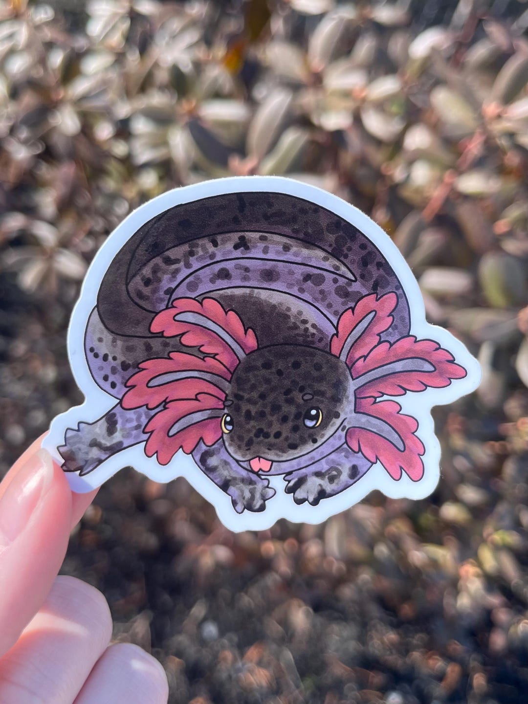 Wild Type “lotti” Axolotl Sticker, 3", Water Bottle Sticker, Laptop ...