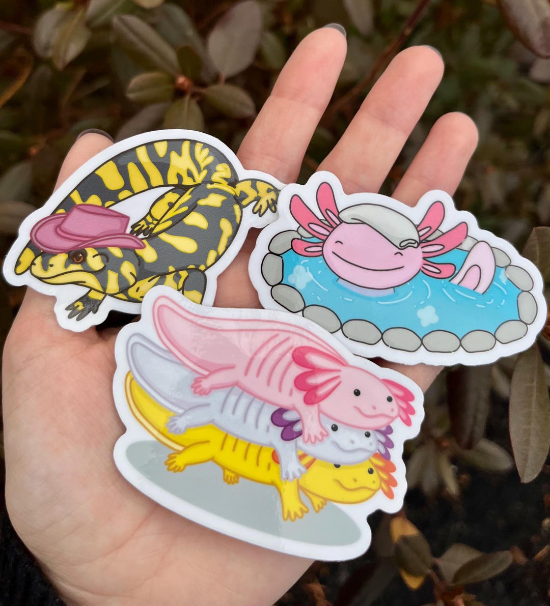 Summer Salamander Sticker Set, 3", Water Bottle Laptop Decal, Cute ...