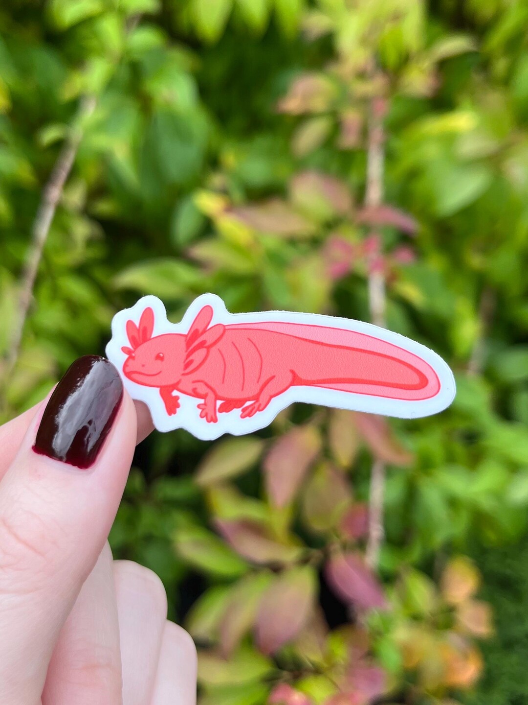 RFP Red Axolotl Sticker, 2, Water Bottle Sticker, Laptop Decal, Cute ...