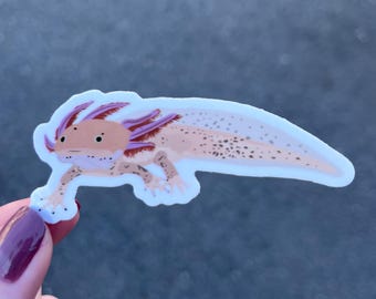 Axolotl Worm Sticker, 3", Water Bottle Sticker, Laptop Decal, Cute ...