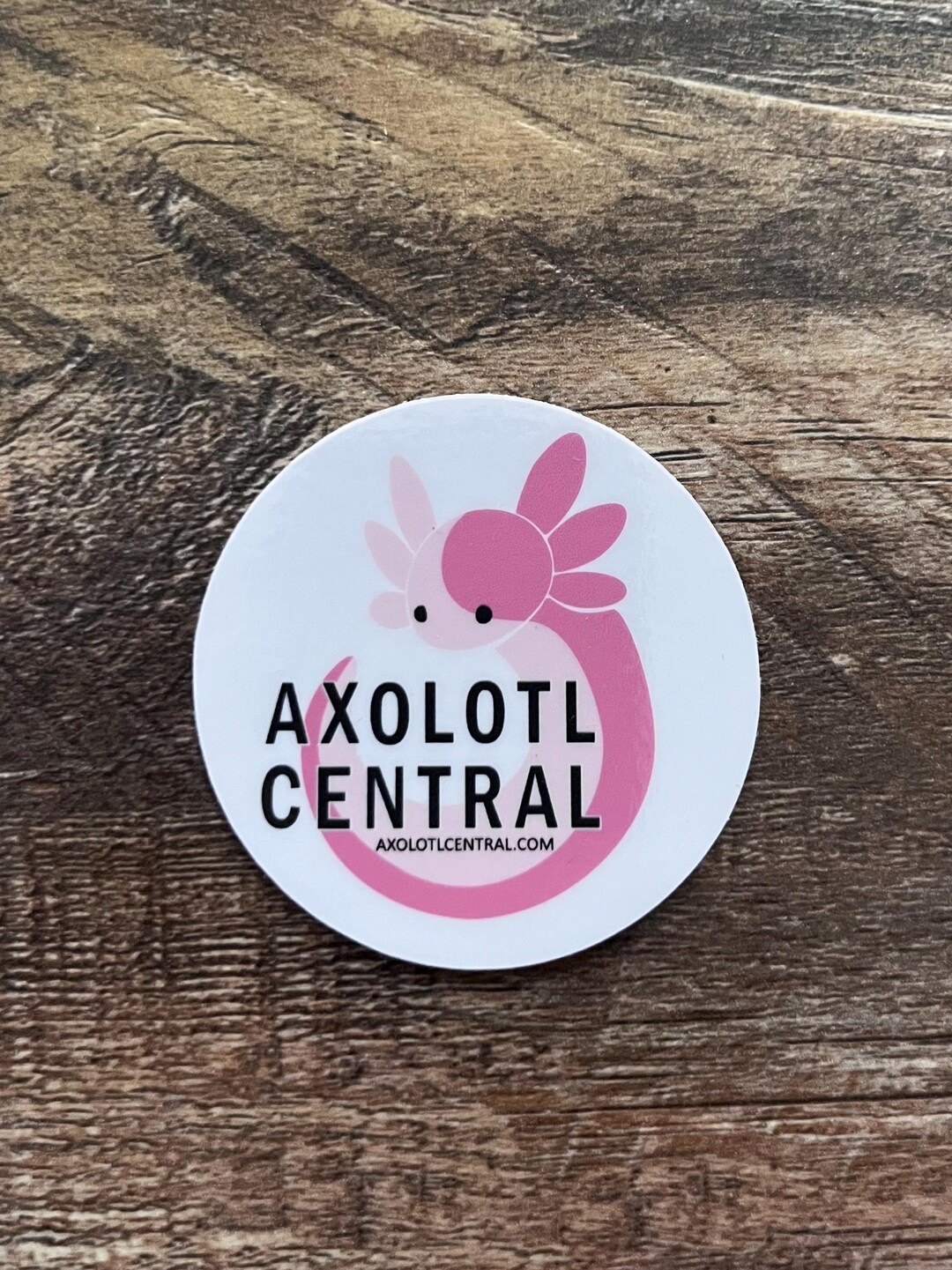 Axolotl Central Logo Sticker, 2", Water Bottle Sticker, Laptop Decal ...