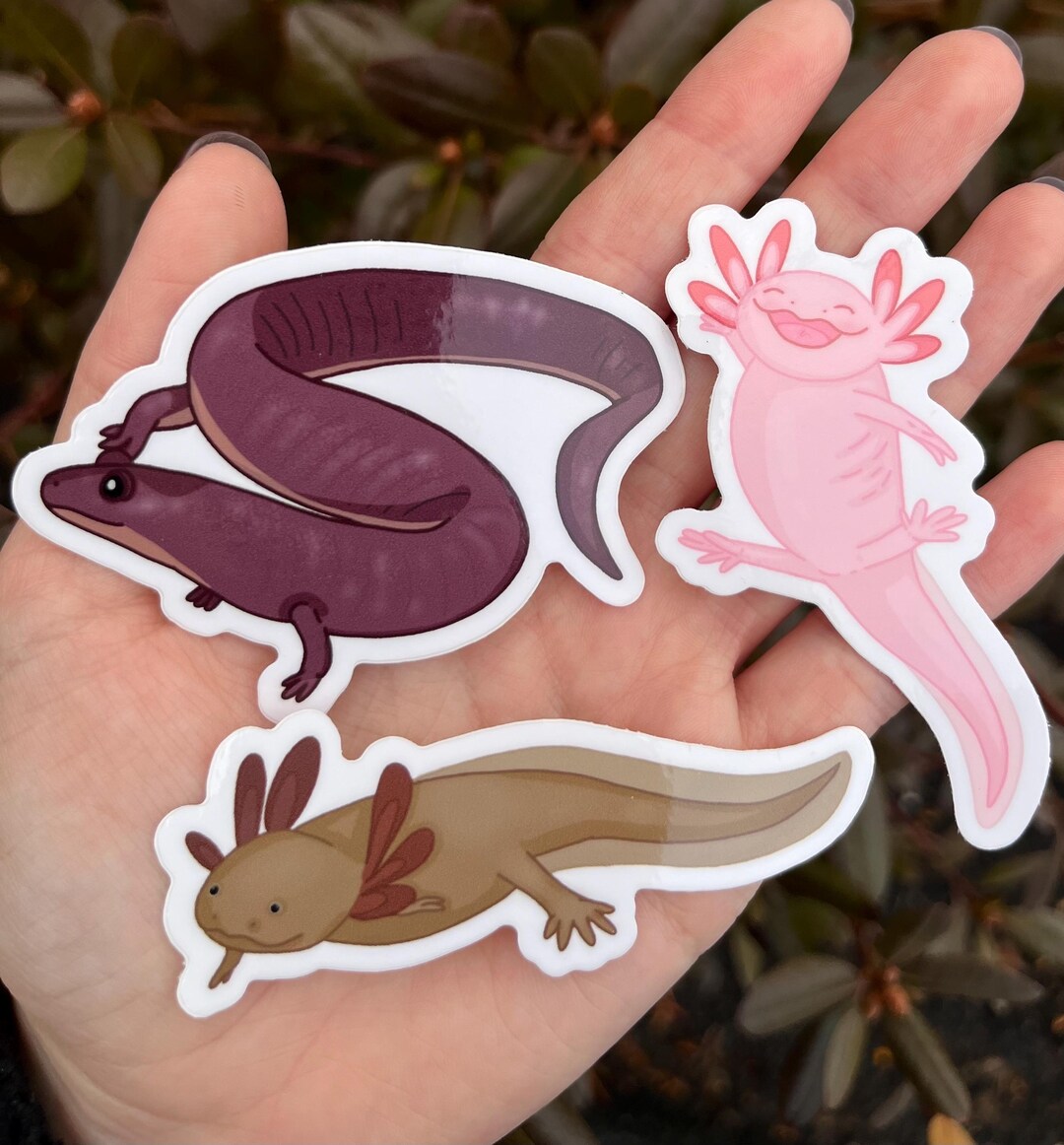 Smiling Salamanders Sticker Set, 3", Water Bottle Stickers, Laptop ...